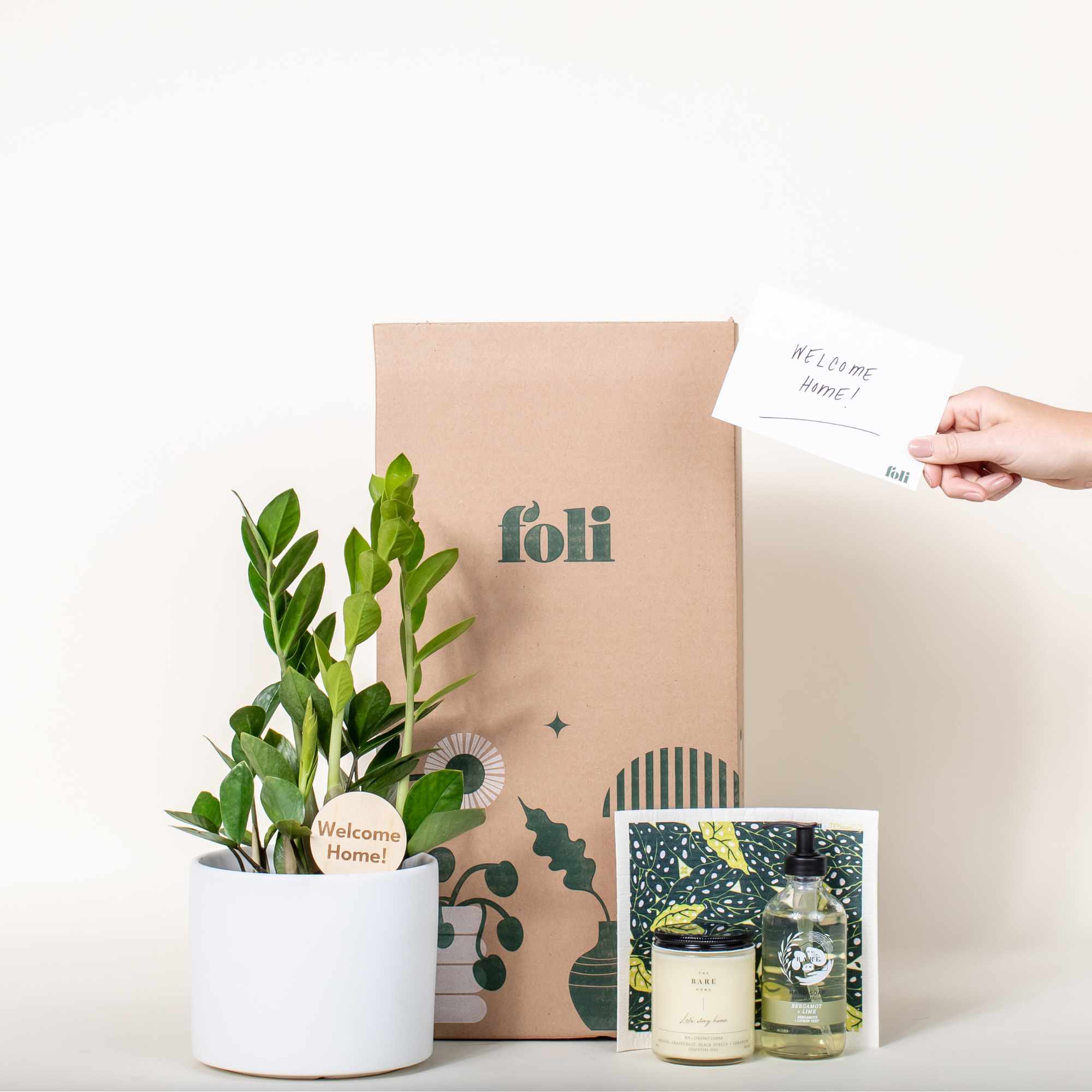 Foli - Online Plant Shop. Potted houseplants delivering Canada-wide.