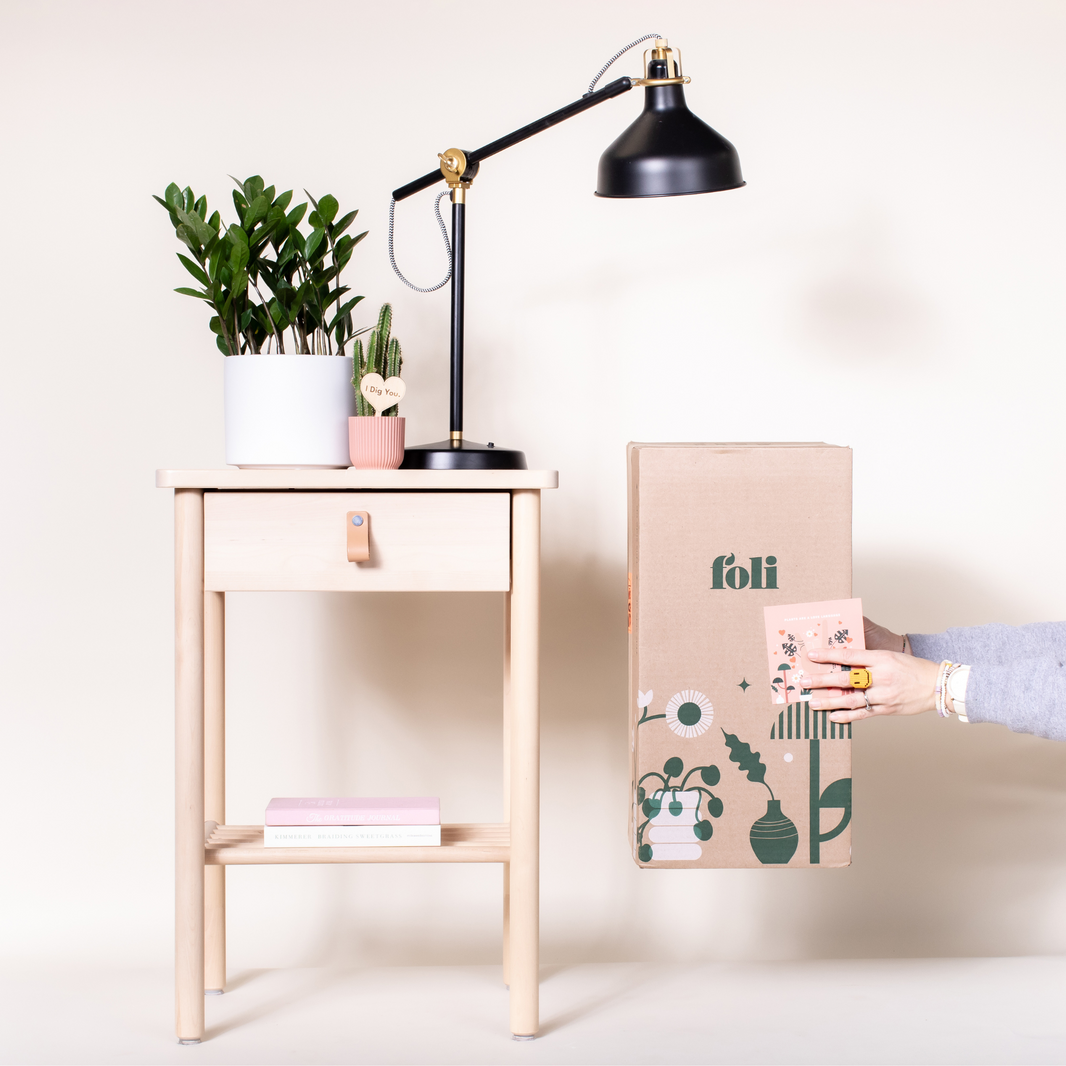 Foli - Online Plant Shop. Potted houseplants delivering Canada-wide.